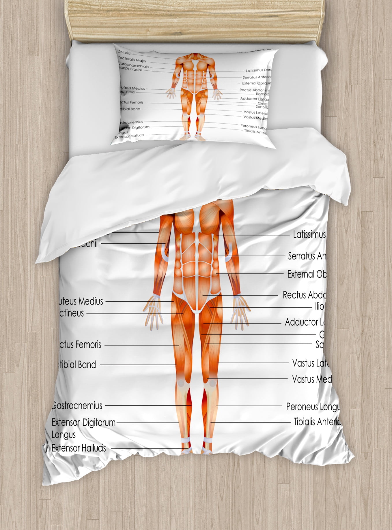 Human Anatomy Duvet Cover Set, Muscle System Diagram of Man Body ...