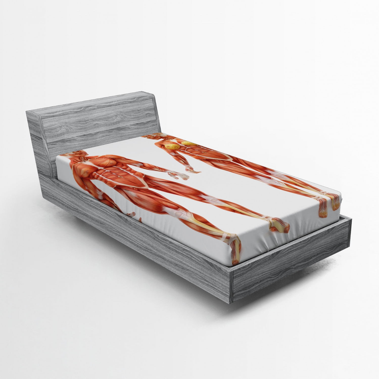 Human Anatomy Fitted Sheet, Male and Female Bodies with Inner Mass ...