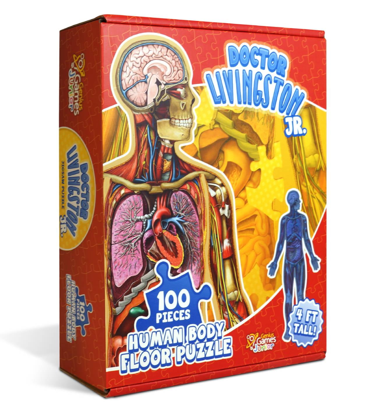 Genius Games Human Anatomy Floor Puzzle, 100 Pieces, 4FT Tall ...