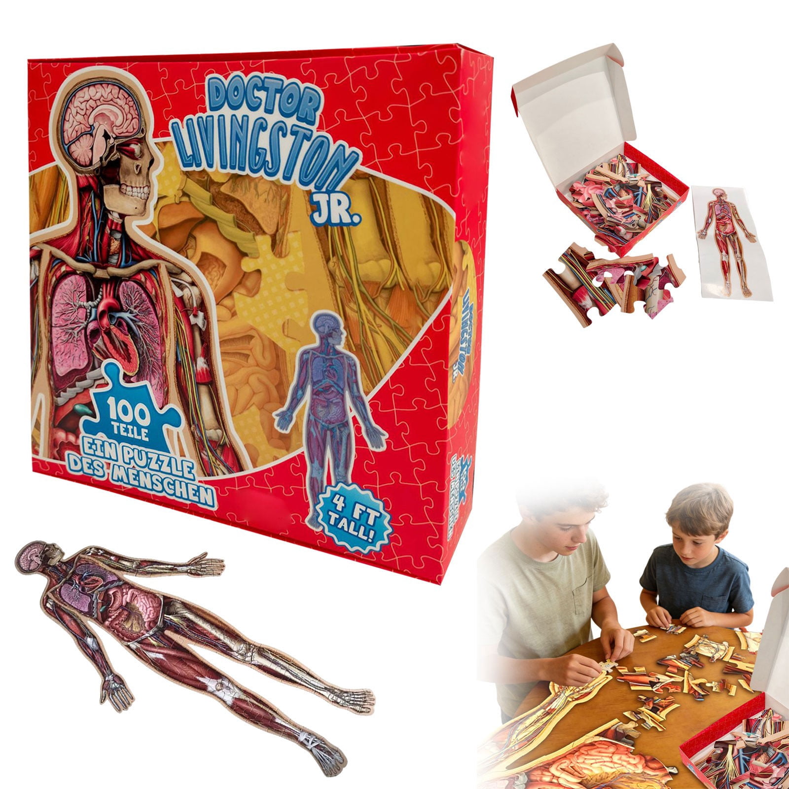 Human Anatomy Kids Floor Puzzle - Dr Livingston Jr's 100-Piece Full ...