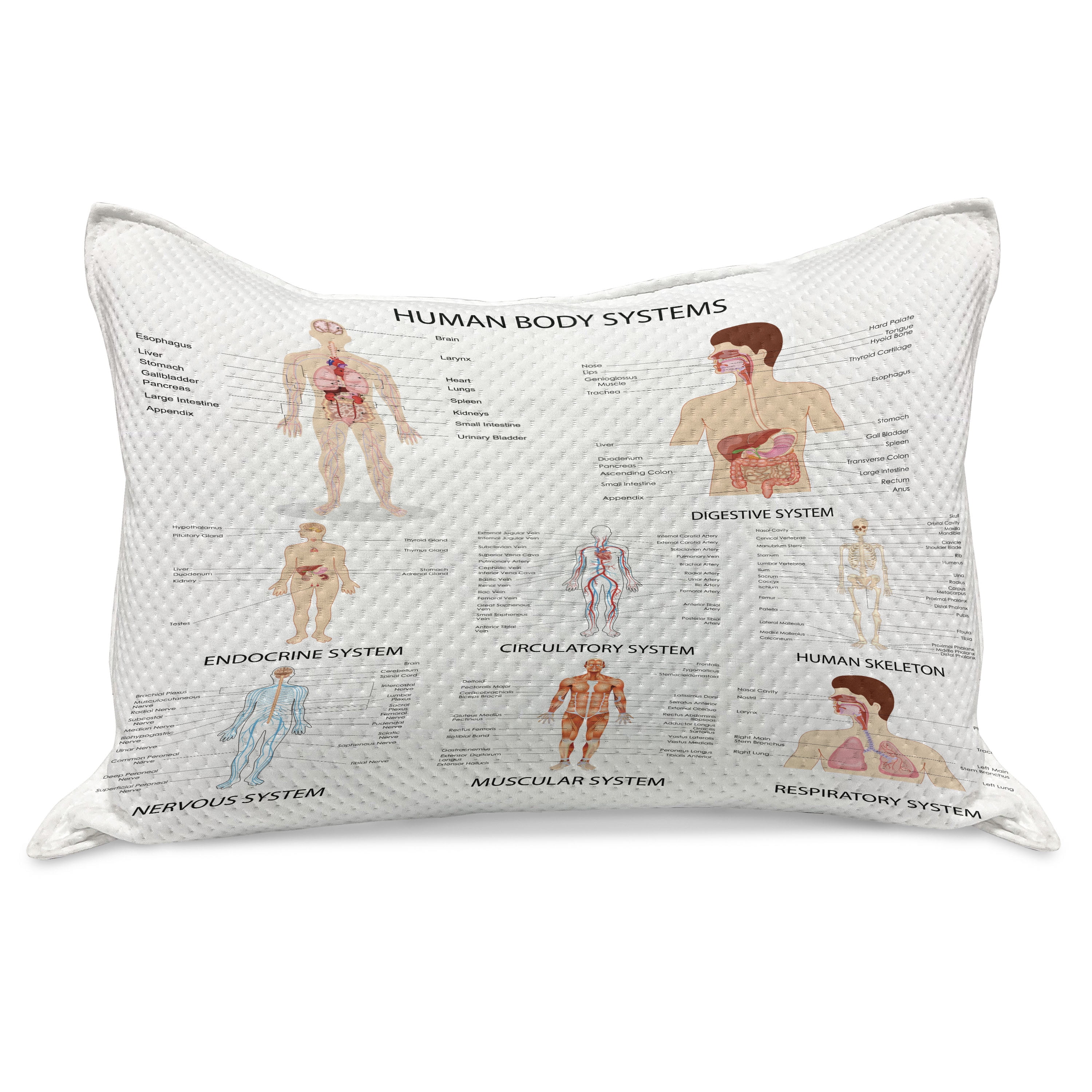 Human Anatomy Knitted Quilt Pillowcover, Chart of Organs Body ...
