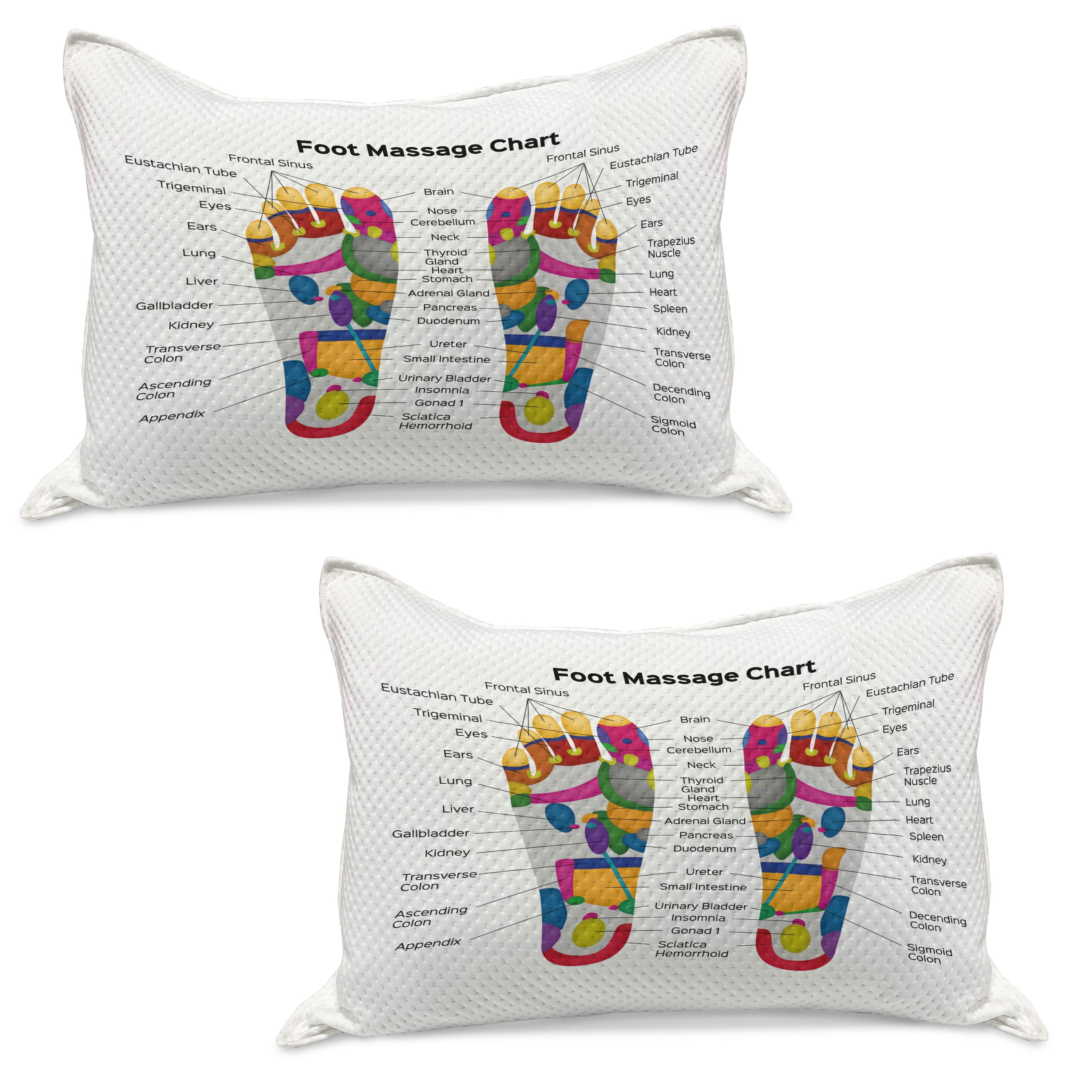 Human Anatomy Knitted Quilt Pillowcover Set of 2, Colored Chart of Foot ...