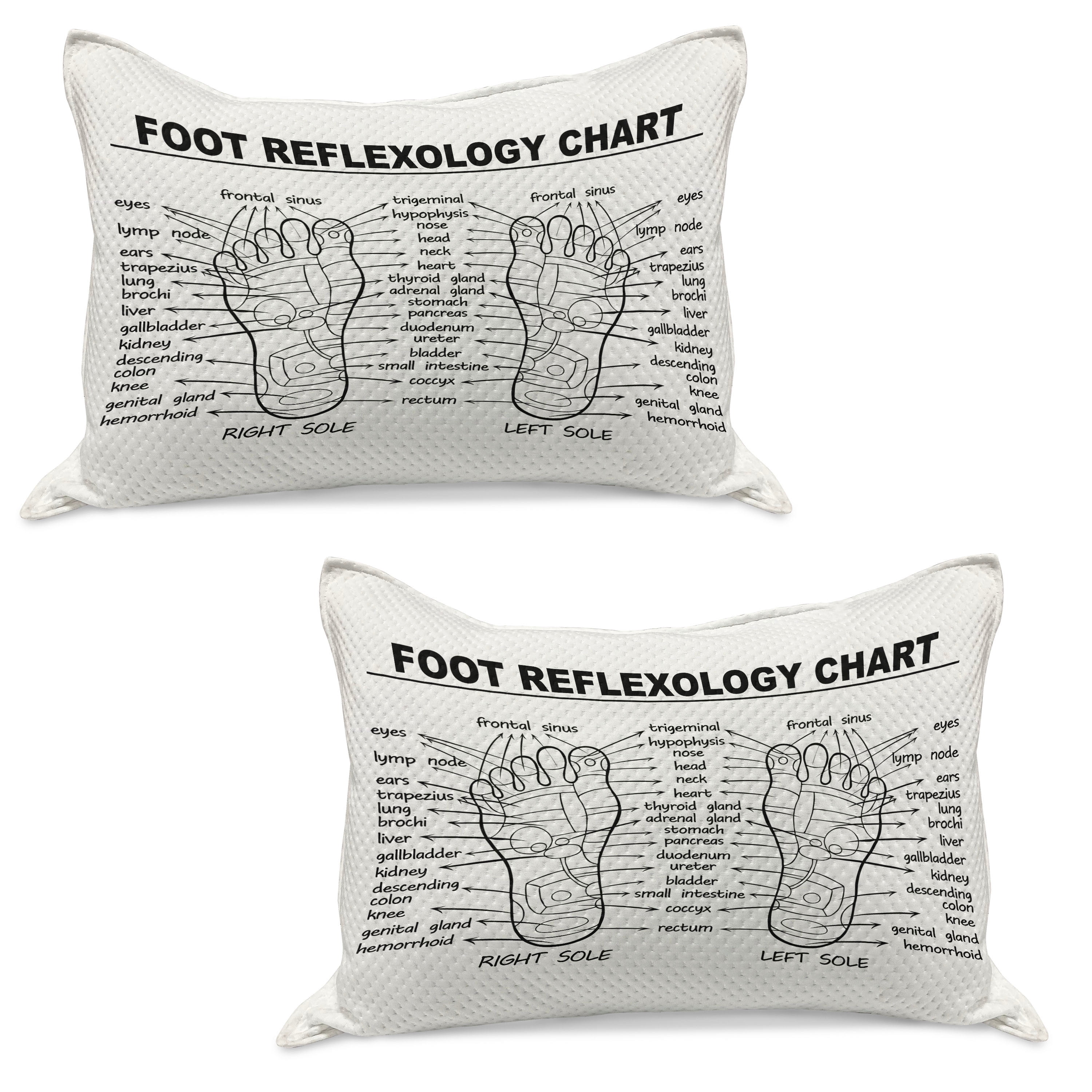 Human Anatomy Knitted Quilt Pillowcover Set of 2, Foot Reflexology ...