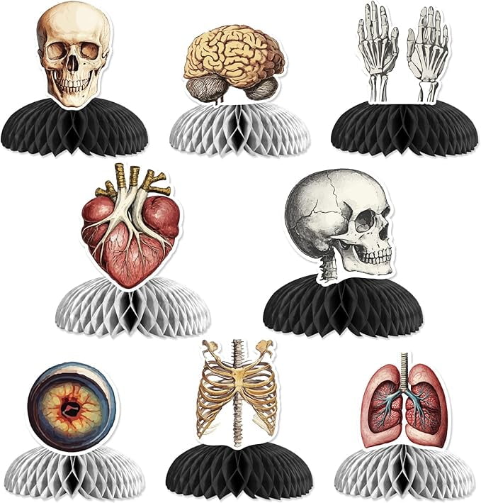 Human Anatomy Party Decorations, 8pcs Human Anatomy Body Part Birthday ...