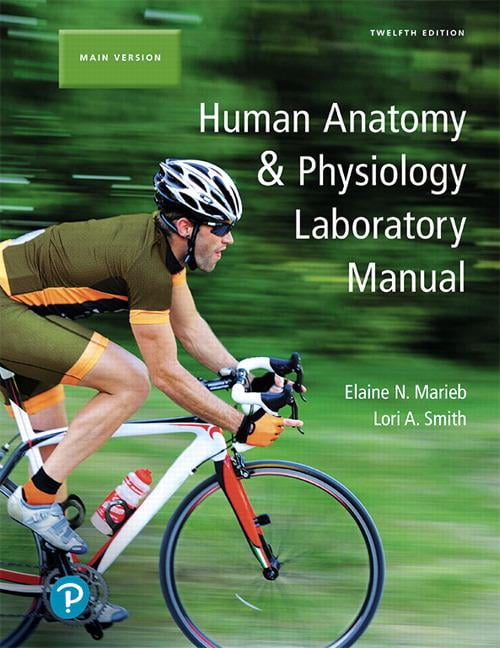 Anatomy And Physiology Textbook Pearson