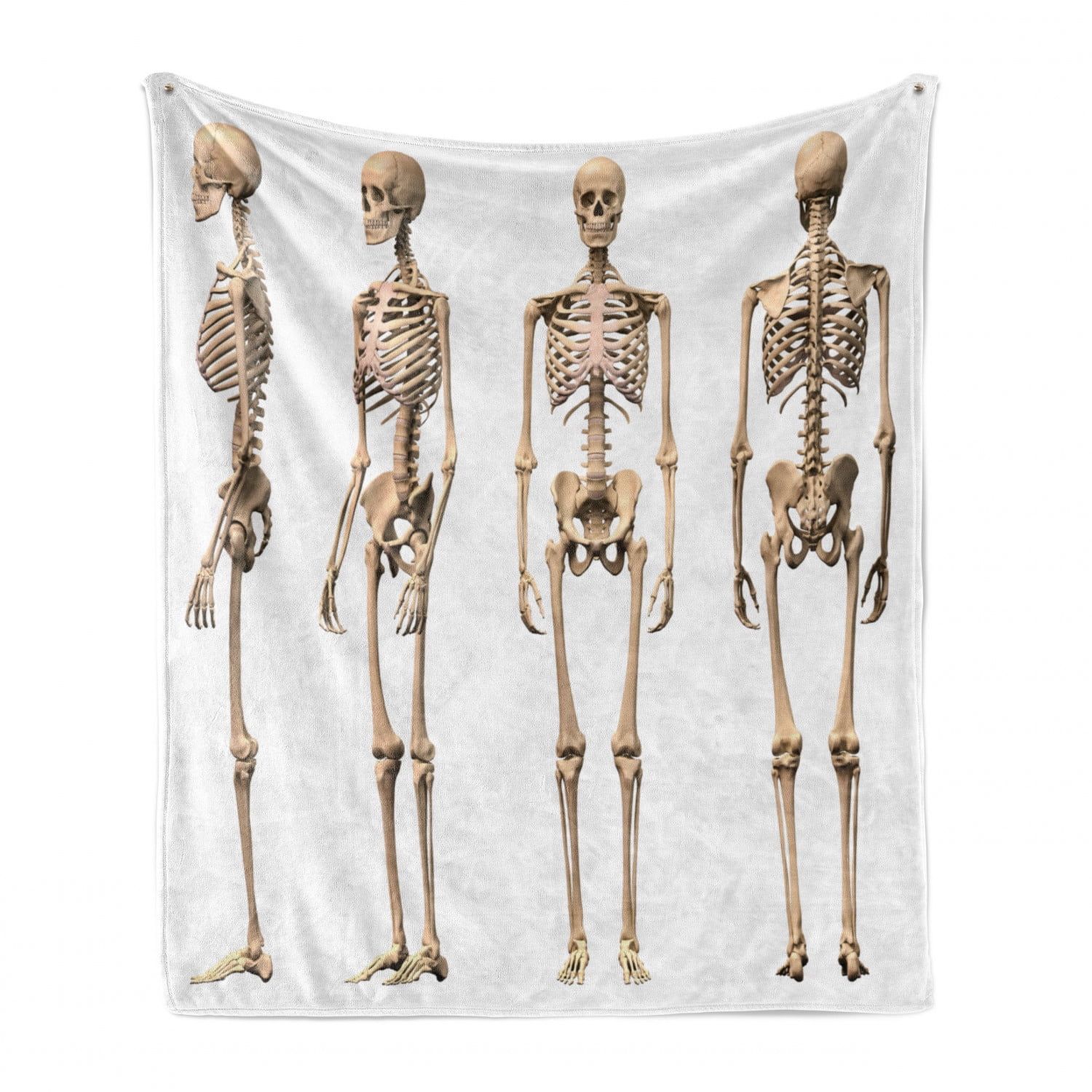 Human Anatomy Soft Flannel Fleece Throw Blanket, Man Male Human ...