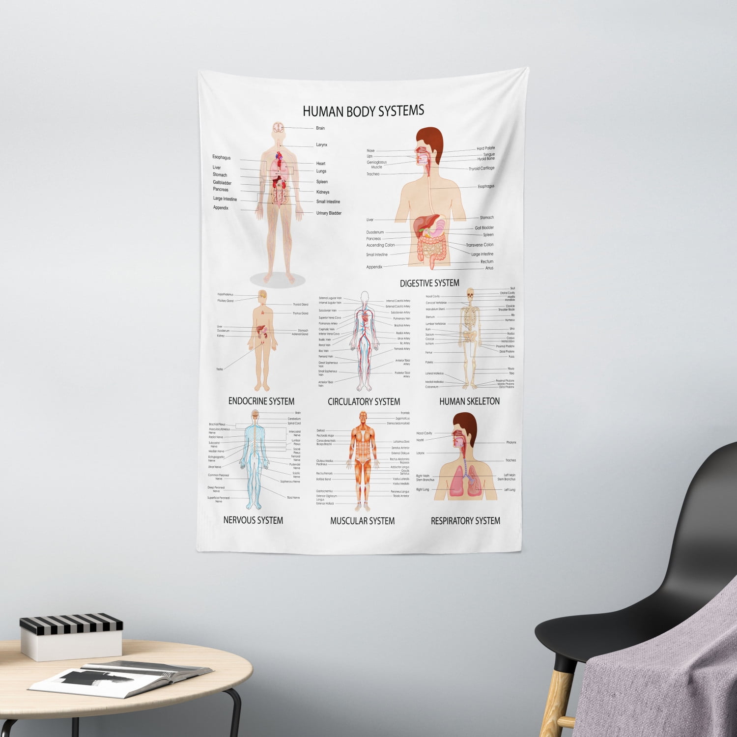 Human Anatomy Tapestry, Complete Chart of Different Organ Body ...