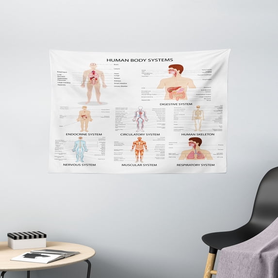Human Anatomy Tapestry, Complete Chart of Different Organ Body ...