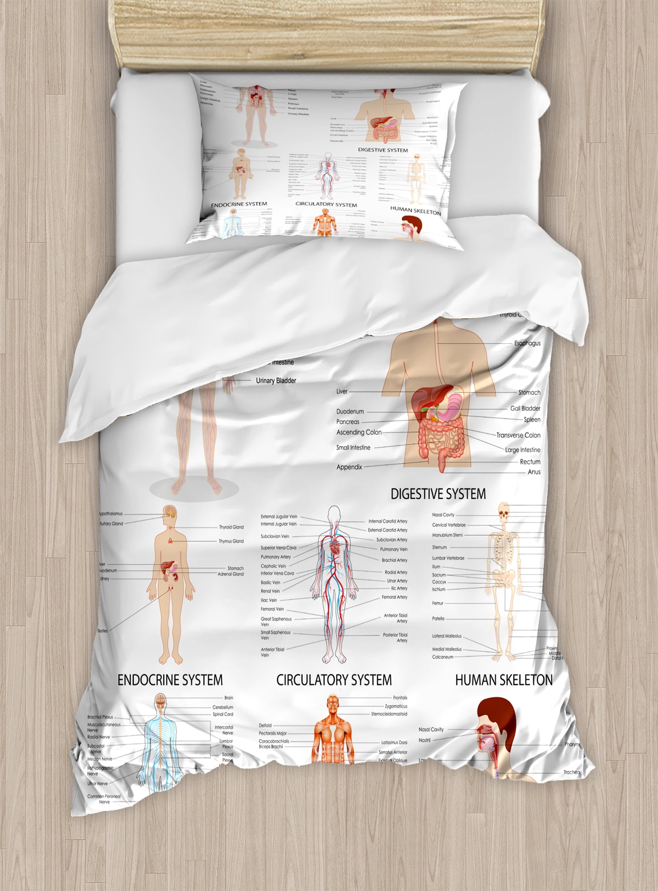 Human Anatomy Twin Size Duvet Cover Set, Complete Chart of Different ...