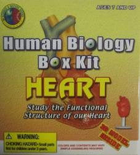 Human Biology Kit - HEART by CARLISLE - Walmart.com