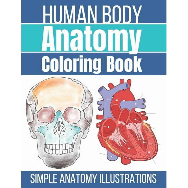 free human anatomy coloring book