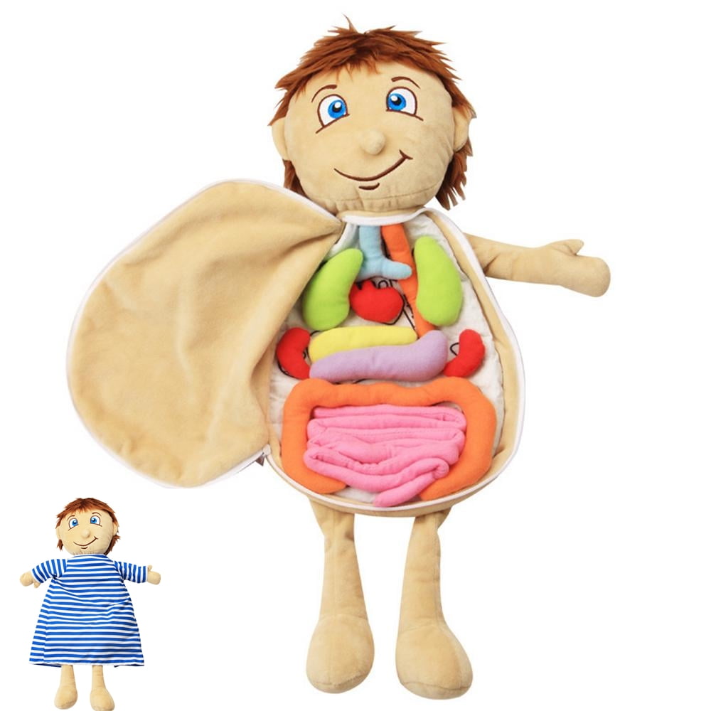 Human Body Anatomy Plush Toy – Soft Educational Doll With Removable ...