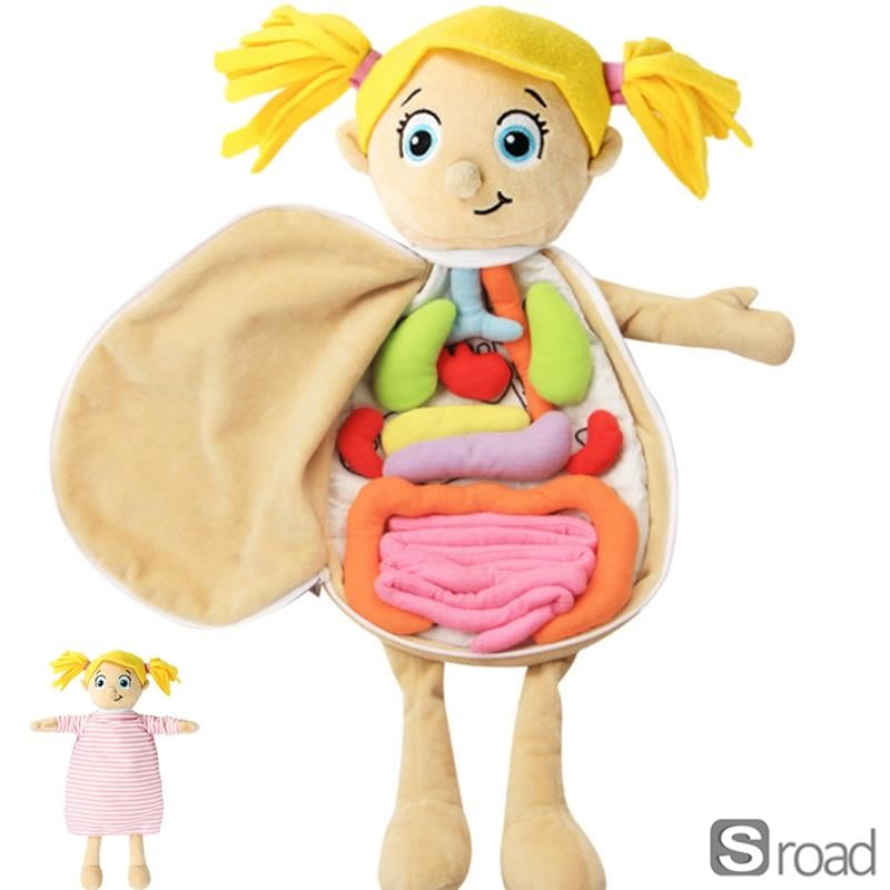 Human Body Anatomy Plush Toy – Soft Educational Doll With Removable ...