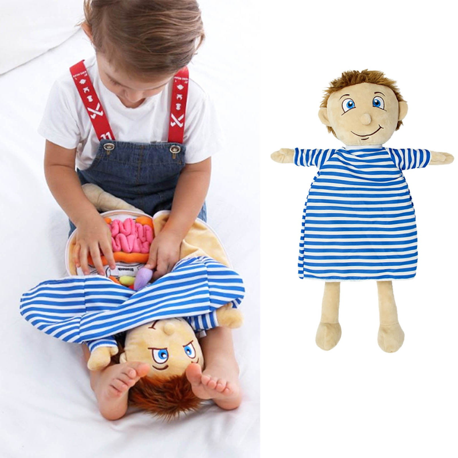 Human Body Anatomy Toy Kid Preschool Educational Organ Plush Toys ...