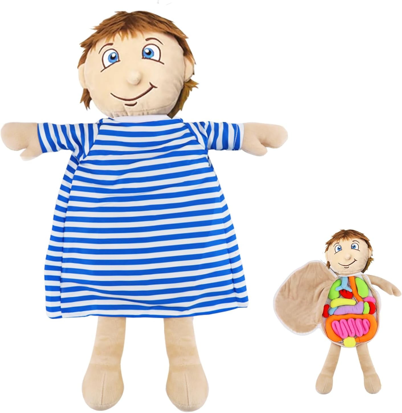 Human Body Anatomy Toy, Montessori Preschool Educational Organ Plush ...