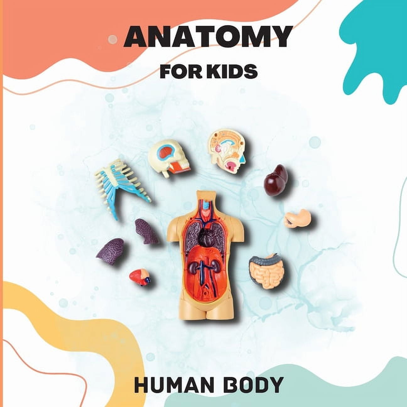 Human Body Anatomy for Kids: Human Body Introduction for Children Ages ...