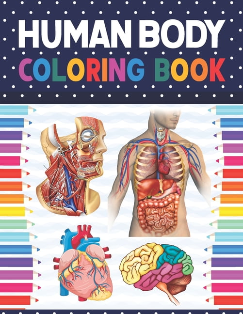 Human Body Coloring Book : Human Body Anatomy Coloring Book For Boys ...