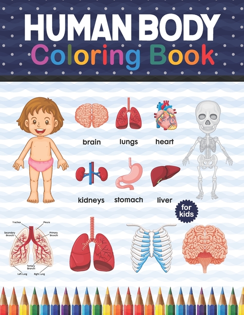 Human Body Coloring Book For Kids: Human Body Anatomy Coloring Book For ...