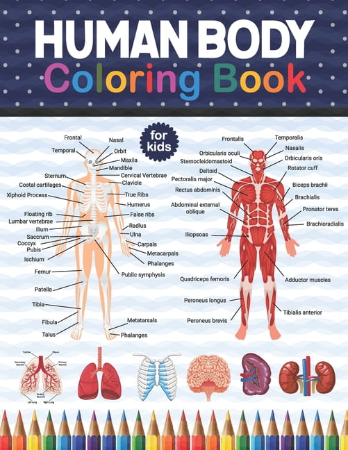 Human Body Coloring Book For Kids: Human Body Anatomy Coloring Book For ...