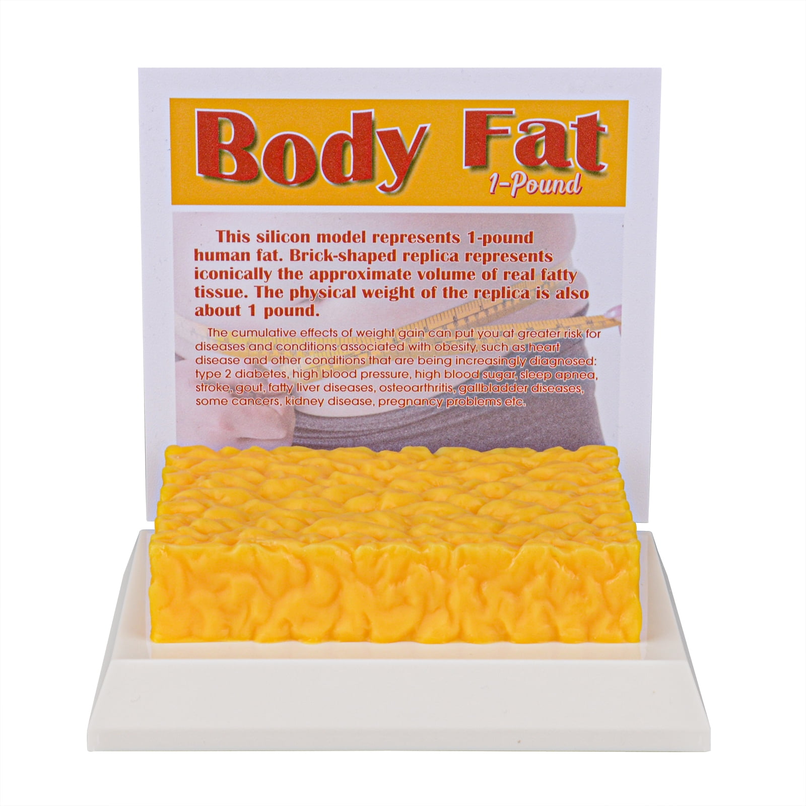 Human Body Fat Replica 1 Lb, Keep Fit & Weight Loss Motivation ...