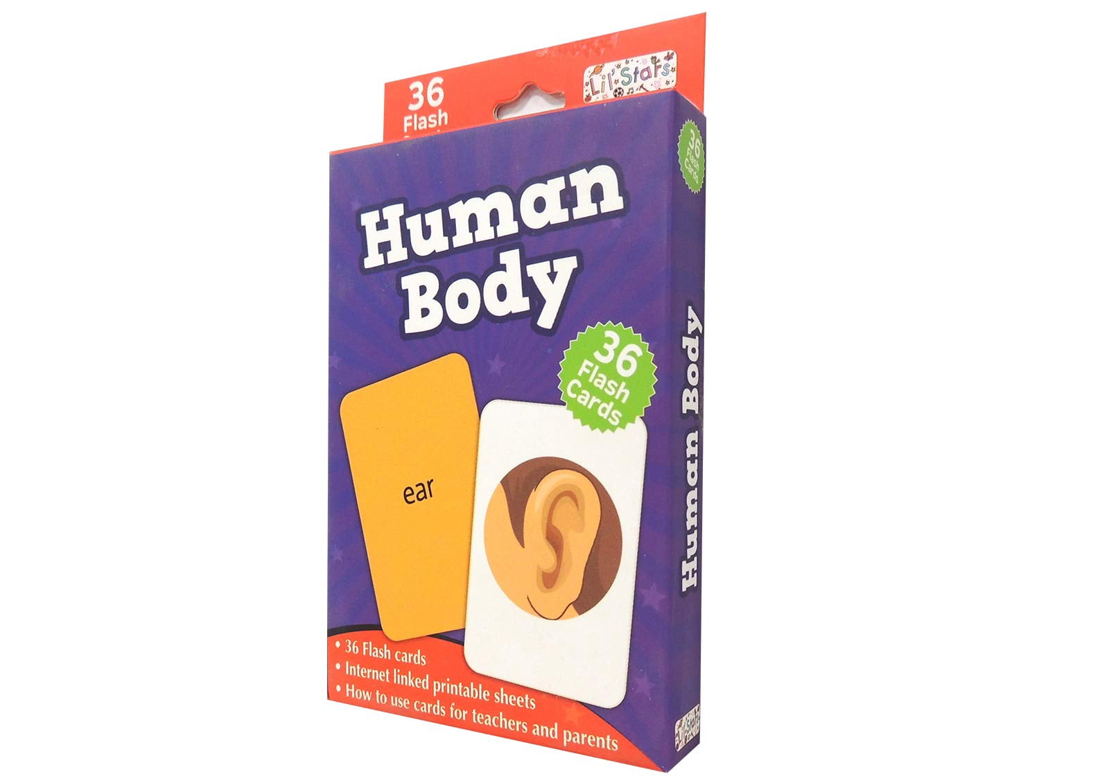 Human Body - Flash Cards - Walmart.com