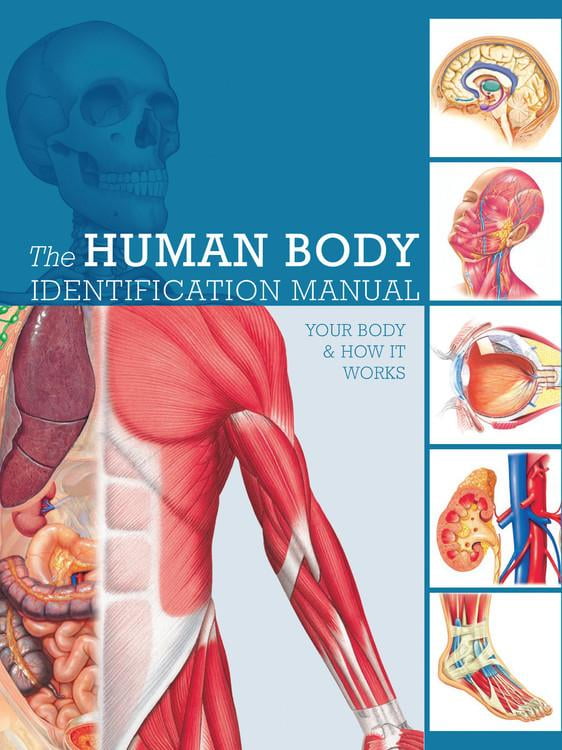 Human Body Identification Manual : Your Body and How It Works - Walmart.com
