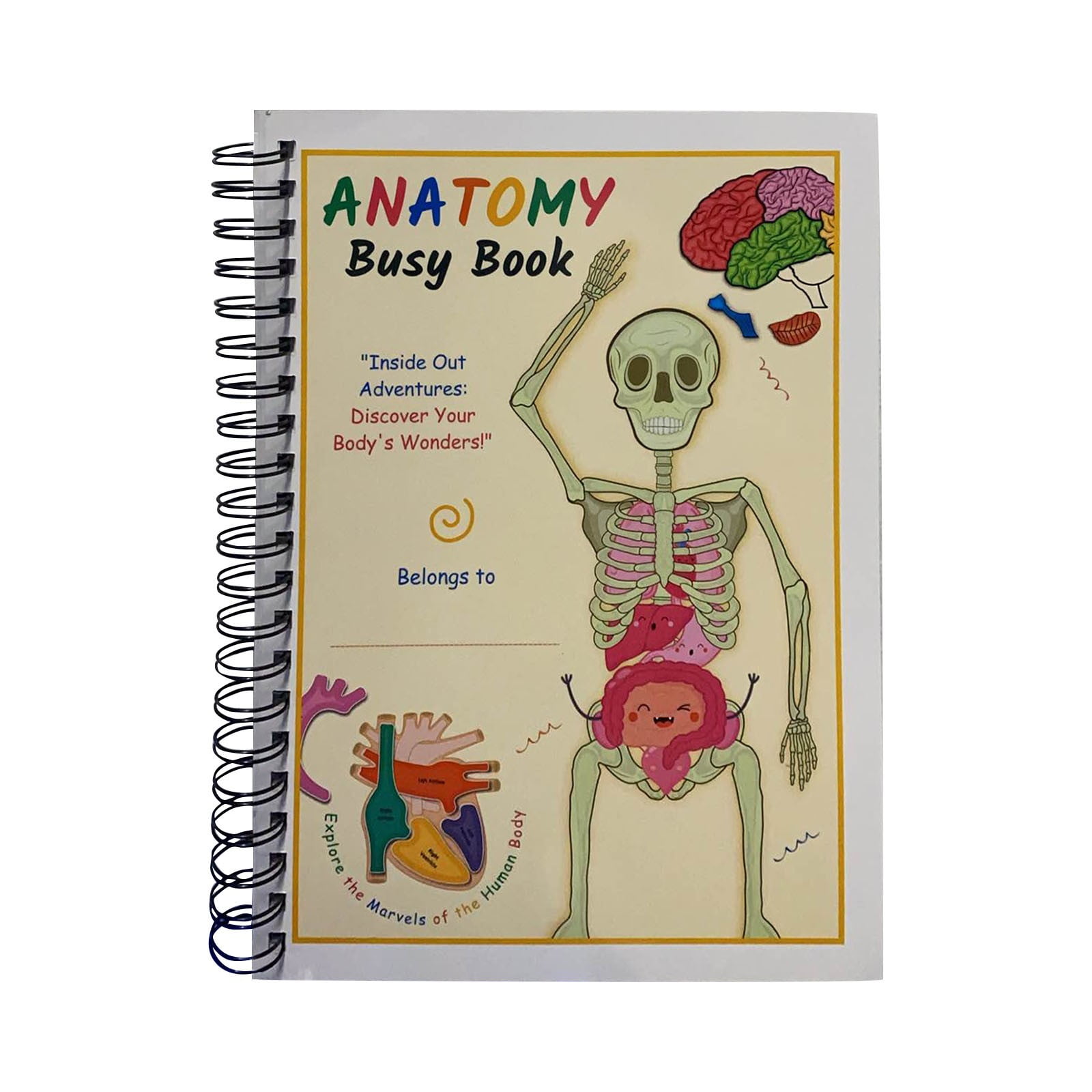 The Human Body for Kids: Educational Anatomy Book for Preschoolers ...