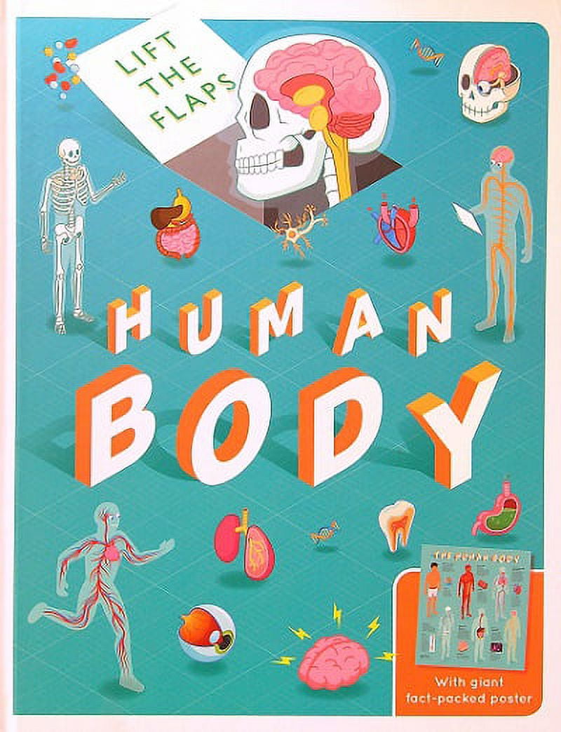 DISCOVER LIFT FLAP HUMAN - Walmart.com