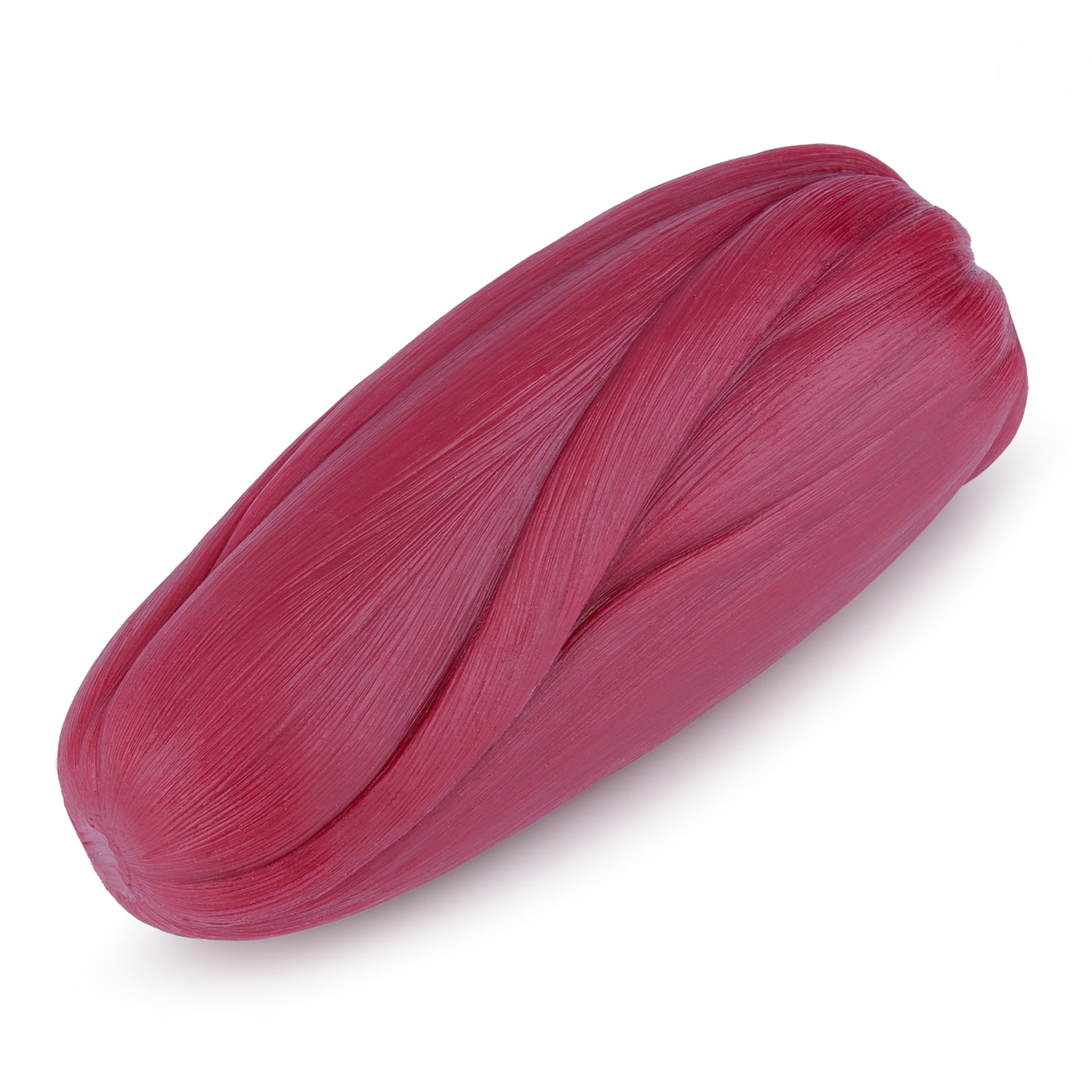 Human Body Muscle Replica Model - 5 lb to Keep Fit & Fitness ...