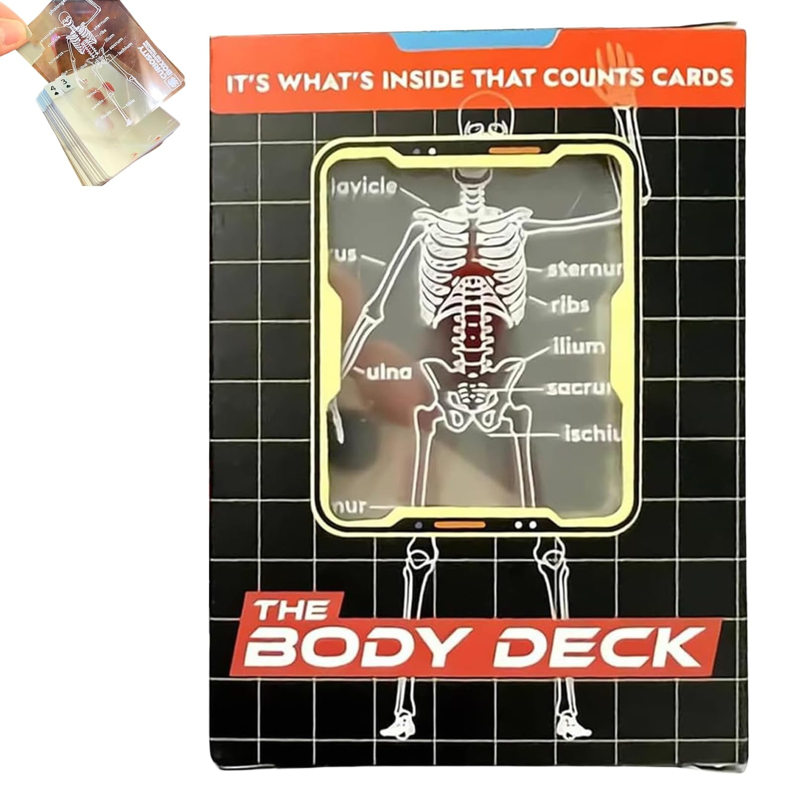 Human Body Playing Cards, The Body Deck Playing Cards, 3D Image ...