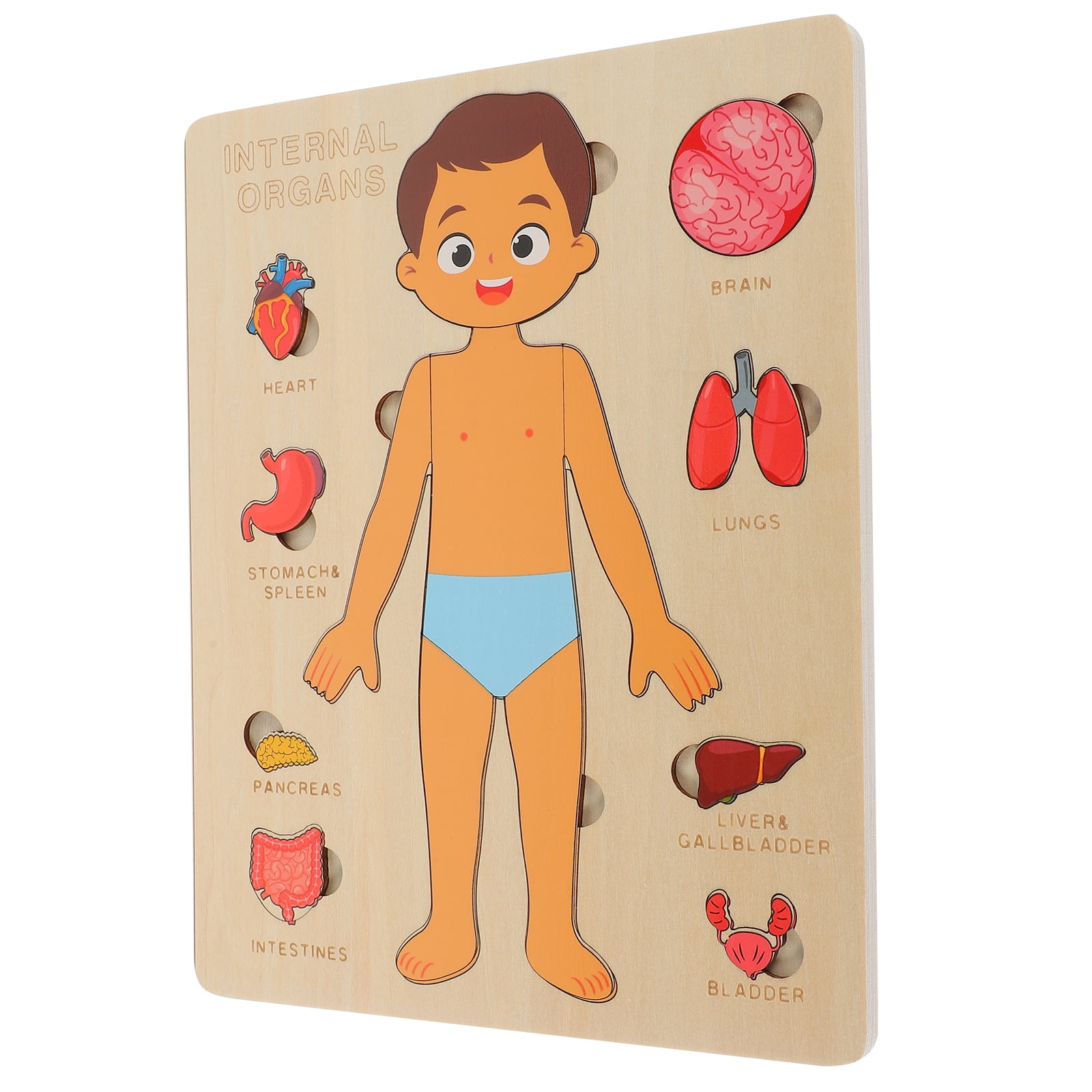 Human Body Structure Puzzle Kid Puzzles Toys Kids Tools Child - Walmart.com