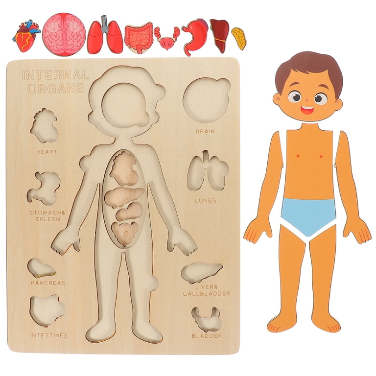 Human Body Puzzle Worksheet Body Parts Worksheet Preschool 32 Best