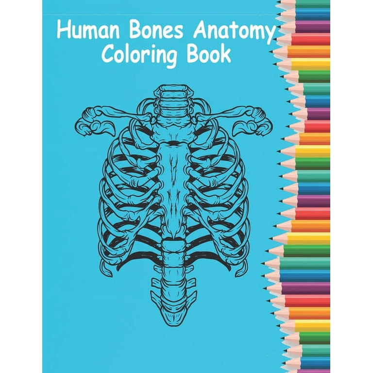 human body coloring pages to color