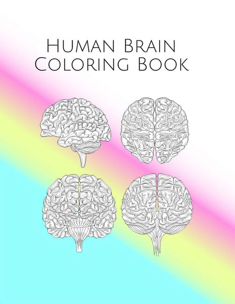 Human Brain Coloring Page