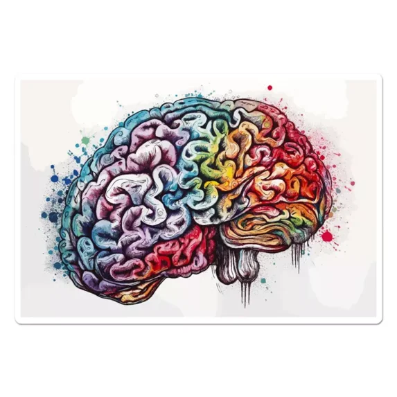 Human Brain Sticker Phone Decal Water Bottle Stickers Car Decals ...