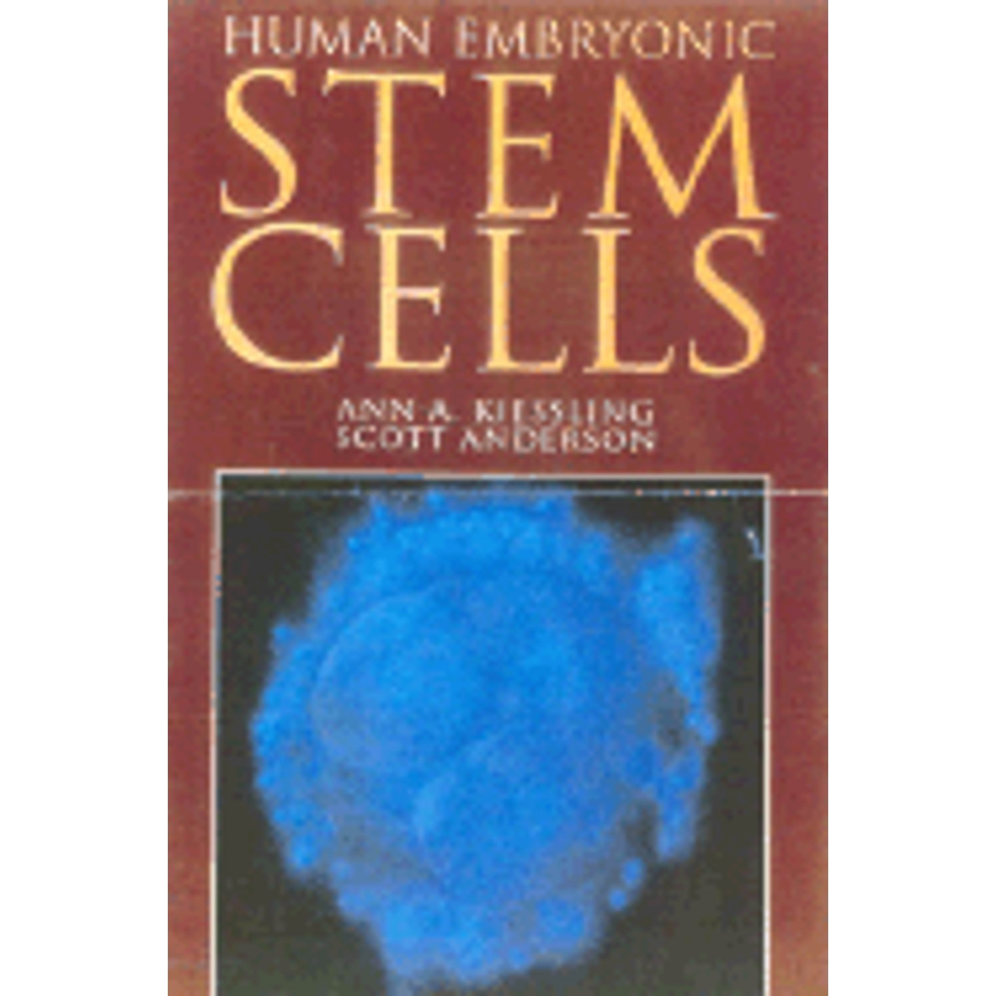 Human Embryotic Stem Cells: An Introduction to the Science and ...