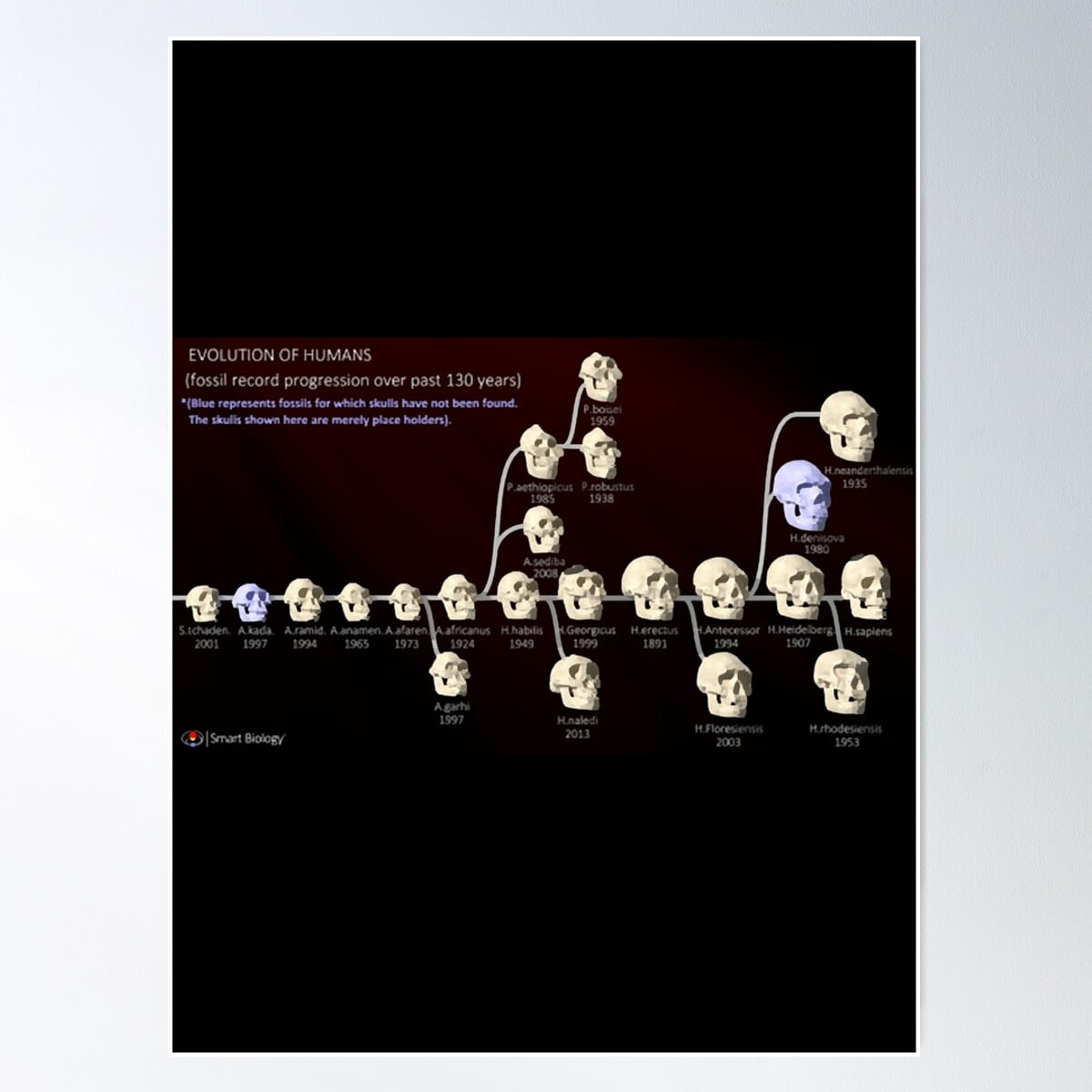 Human Evolution Poster Wall Art, Modern Wall Decor For Living Room Bedroom, 12x18 UNFRAMED ...