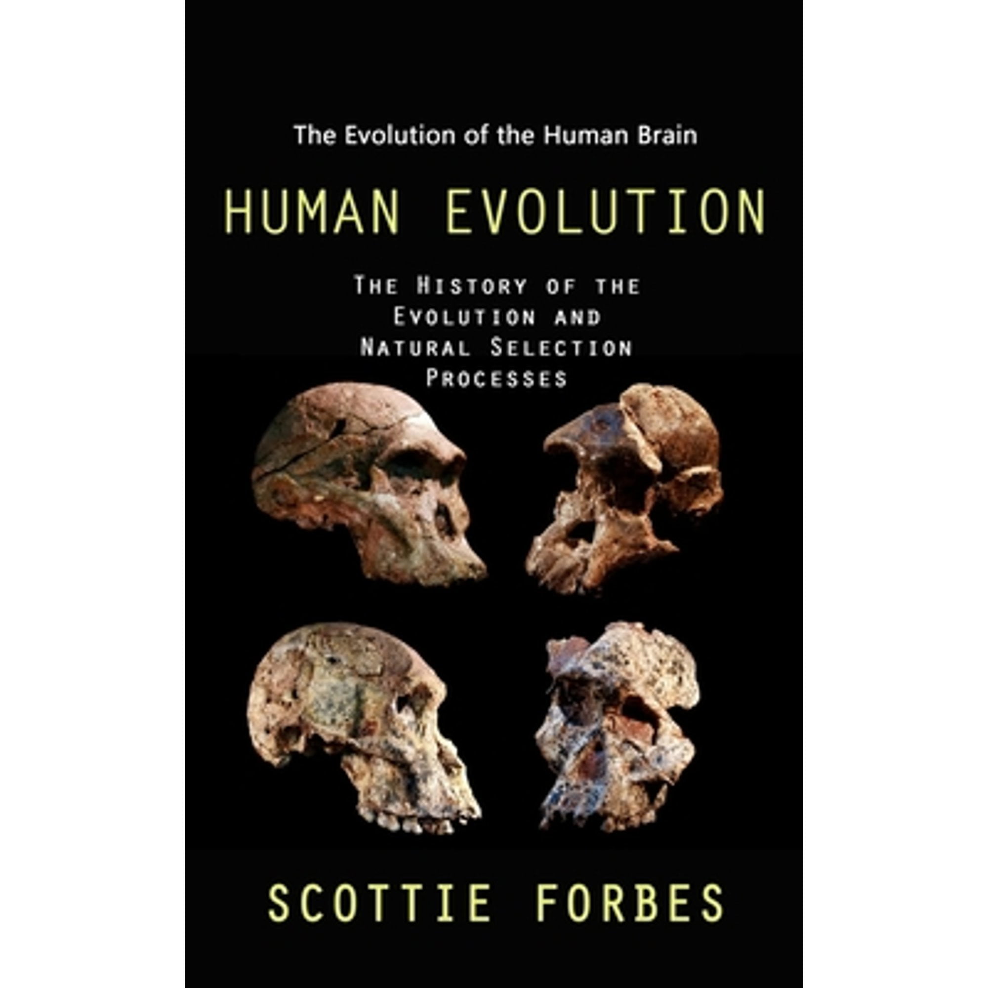 Human Evolution: The Evolution of the Human Brain (The History of the ...