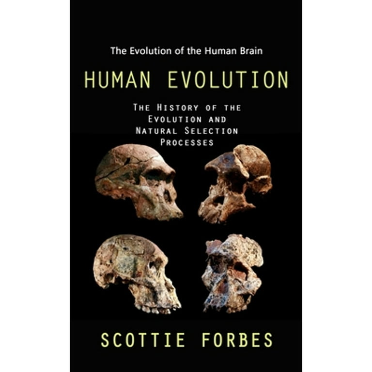 Evolution Of Human Brain