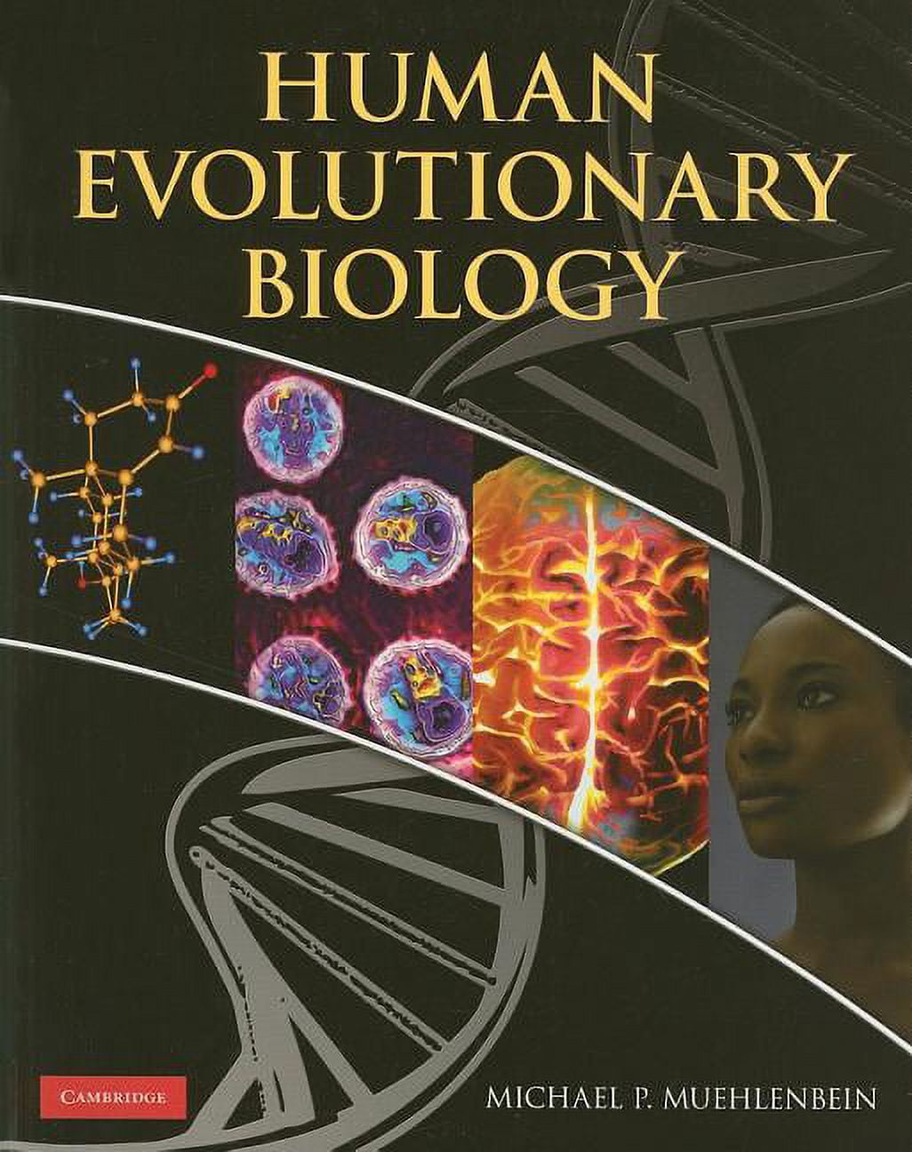 Evolutionary Biology Human