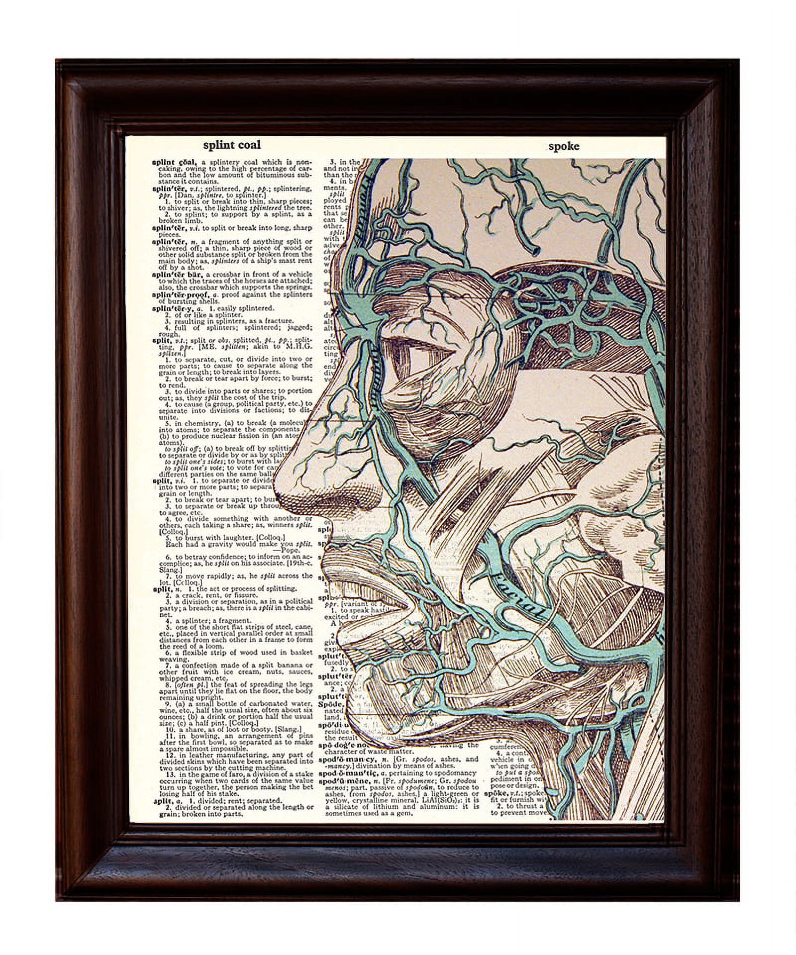 Human Face and Veins - Dictionary Art Print Printed On Authentic ...
