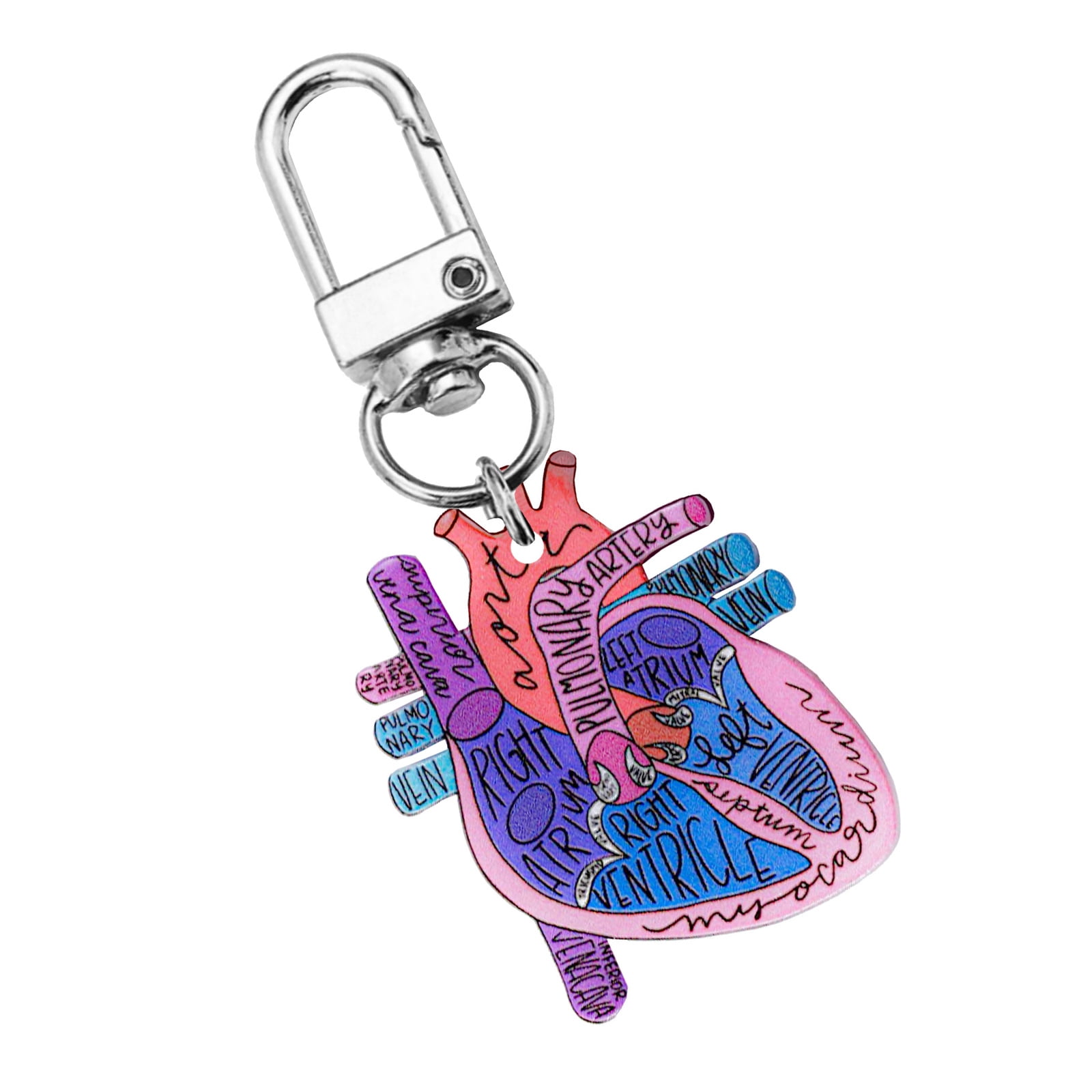 Human Heart Diagram Keychain Detailed Heart Keychain Accessory for ...