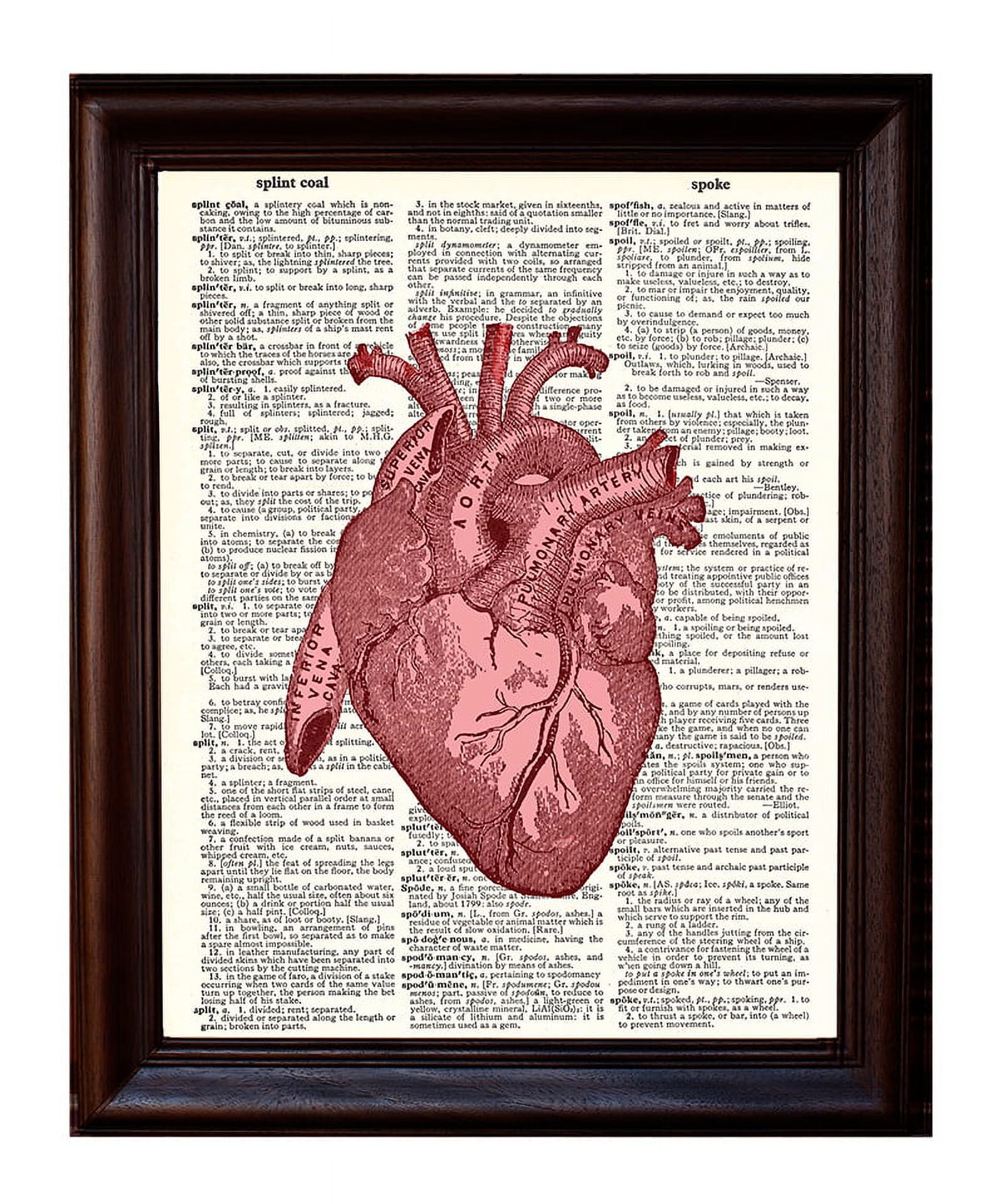 Human Heart Red - Dictionary Art Print Printed On Authentic Vintage ...
