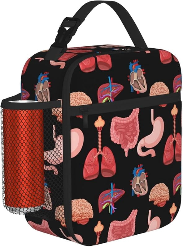 Human Organ Anatomy Insulated Lunch Box, Leakproof Portable Bag, Large ...