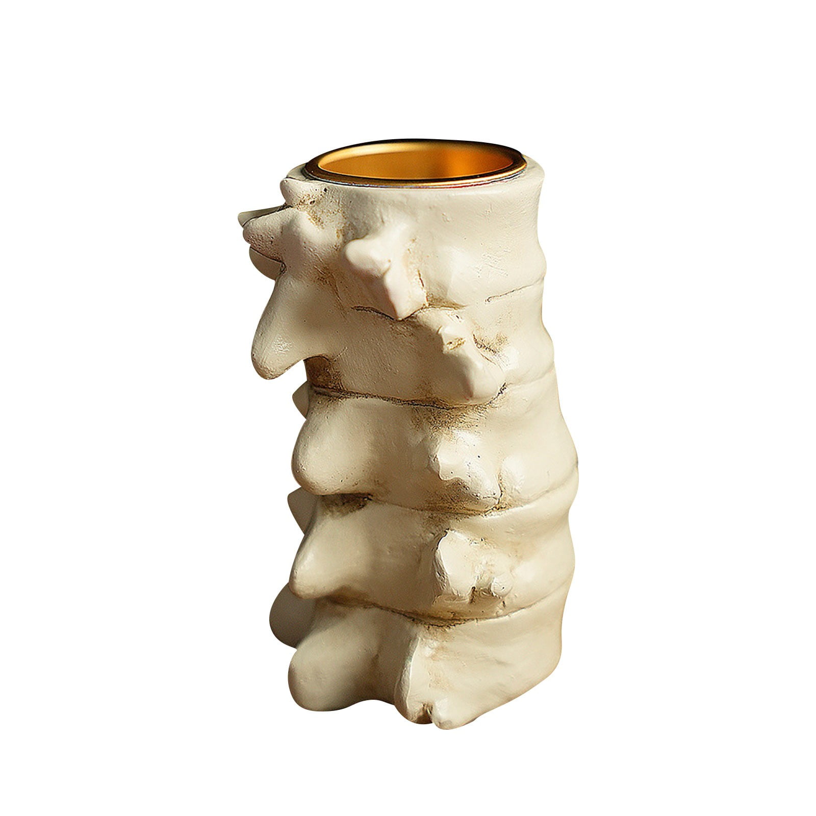 Human Organ Models Candle Holder, Retro 3D Heart Spine Brain ...