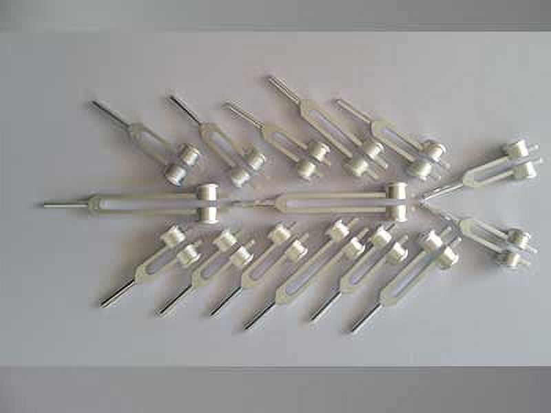 Human Organ Tuning Fork Weighted - Walmart.com