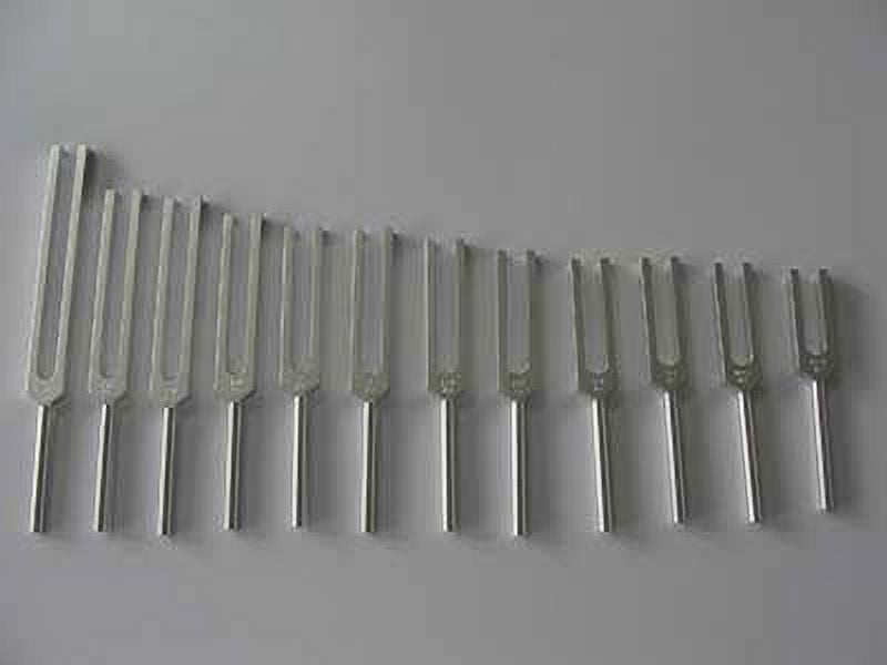 Human Organ Tuning Fork - Walmart.com