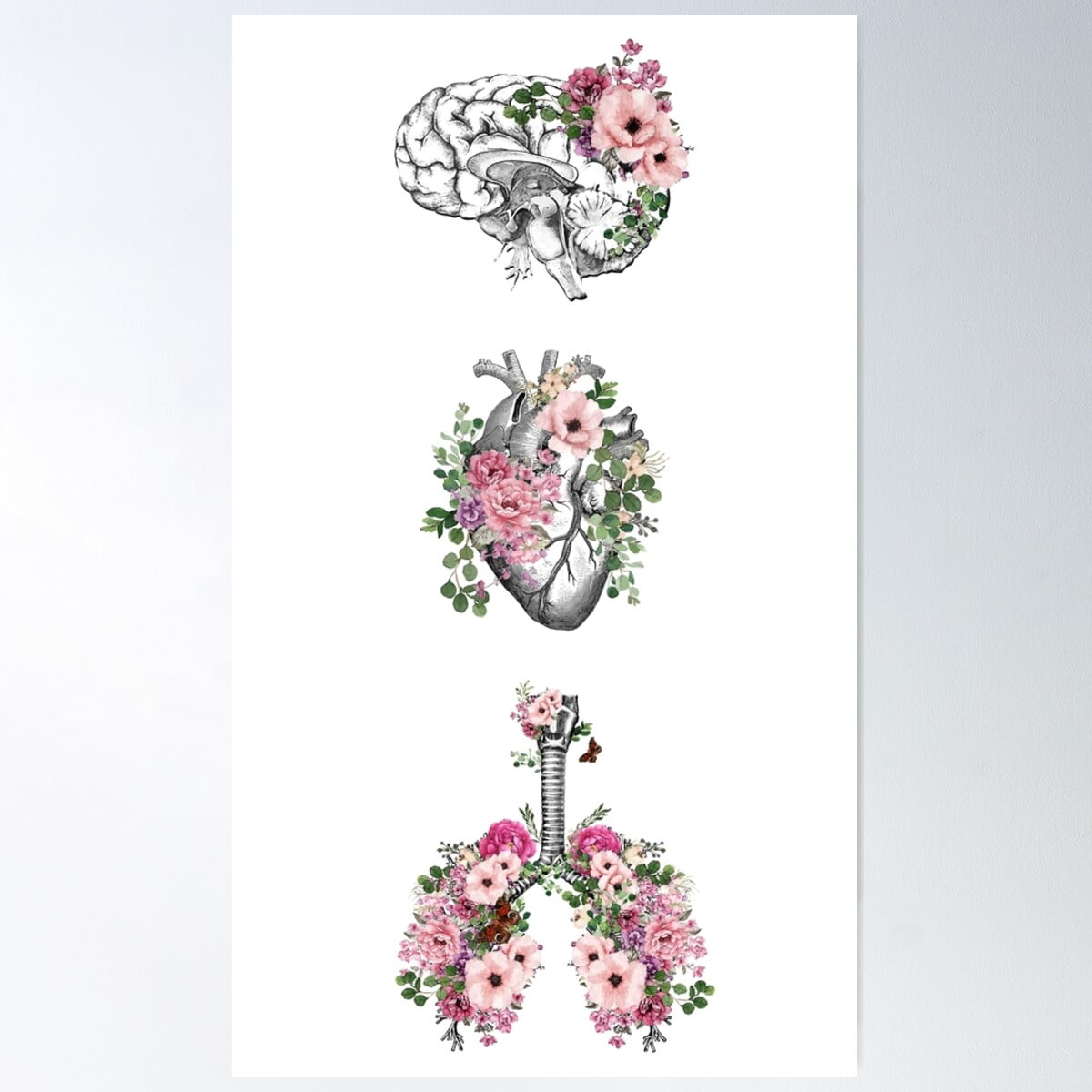 Human Organs, Art With Floral Anatomy, Botany, Heart, Lungs And Brain ...
