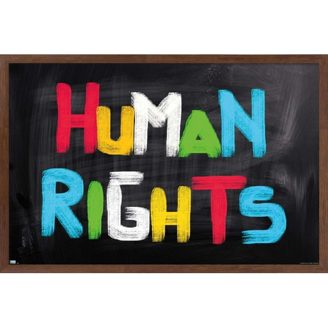 Human Rights Wall Poster, 14.725" x 22.375", Framed - Walmart.com