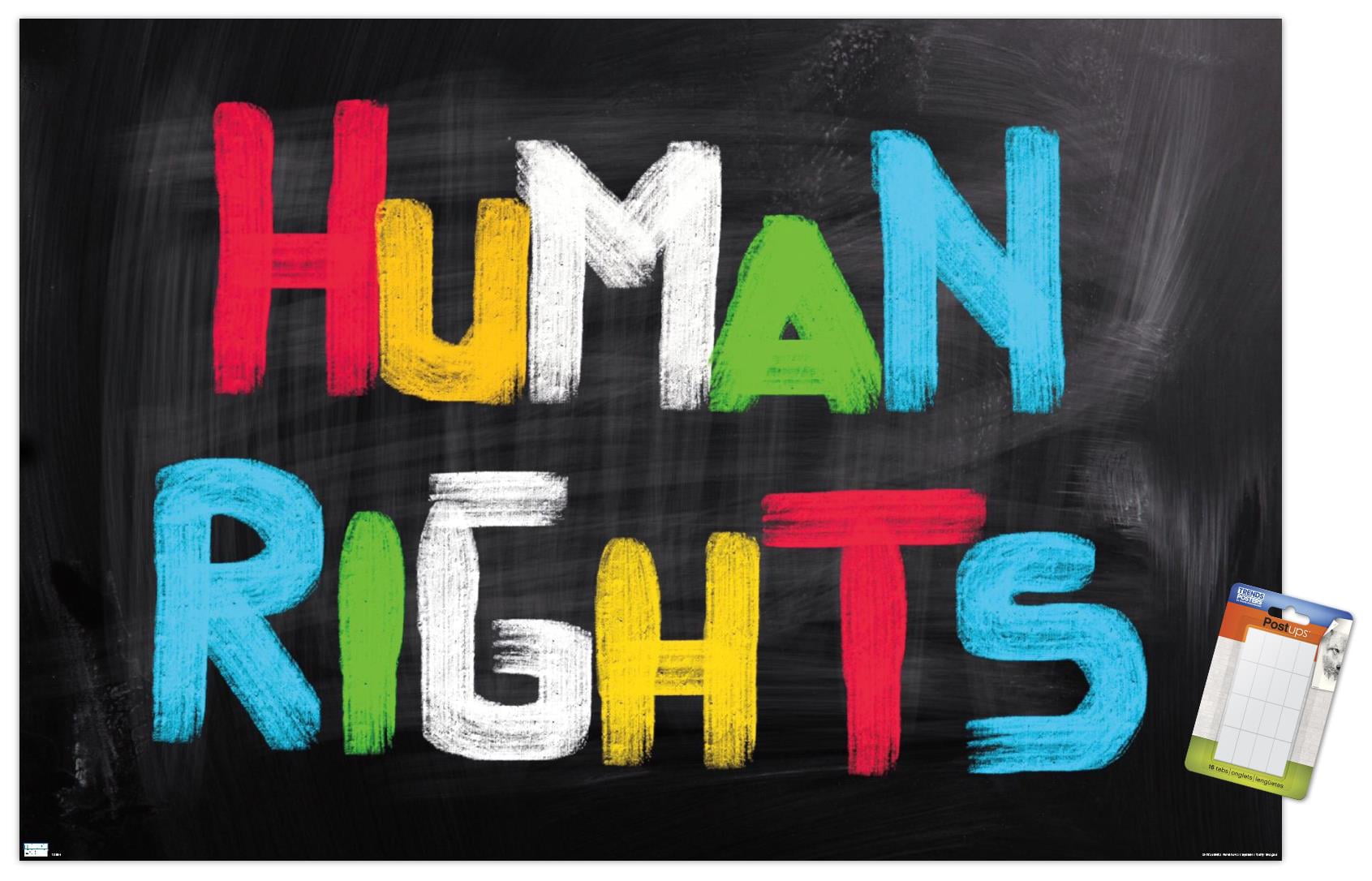 Human Rights Wall Poster, 22.375" x 34" - Walmart.com